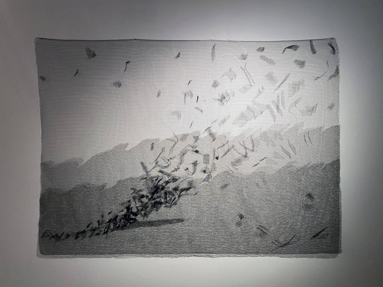 guidocosta projects - Exhibitions