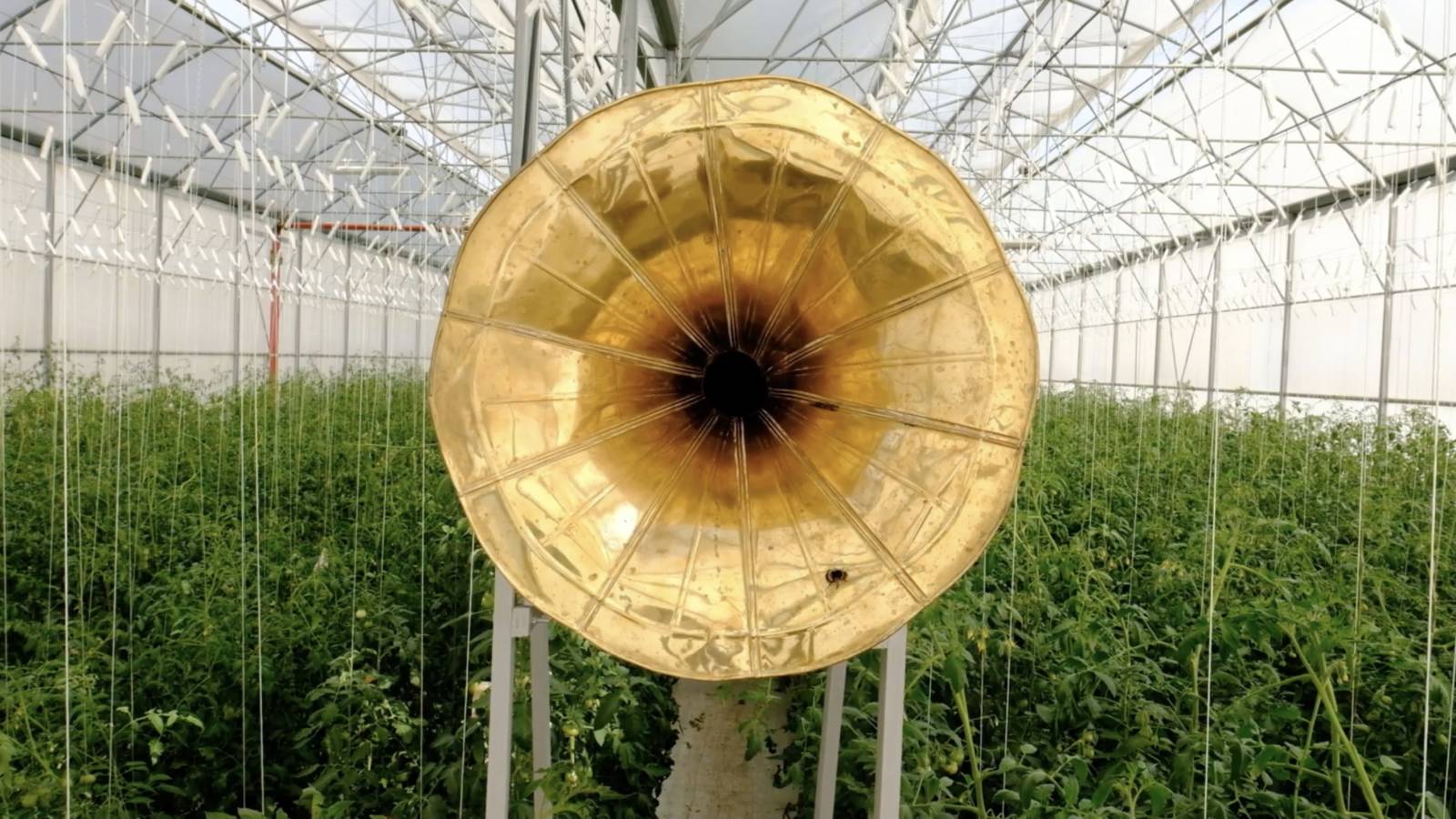 guidocosta projects - Exhibitions